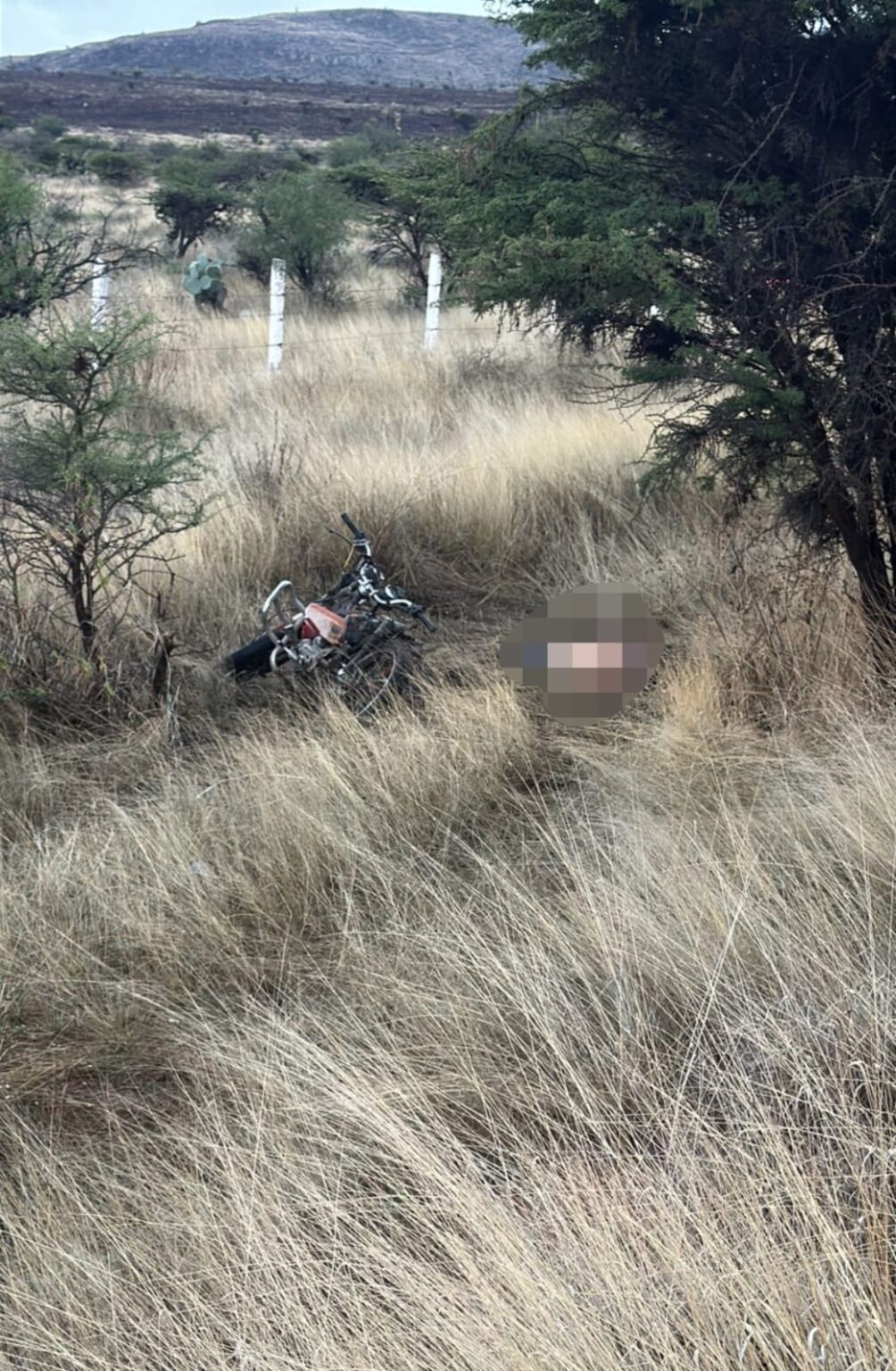 Trágico accidente en Asientos cobra vida de motociclista – El Clarinete